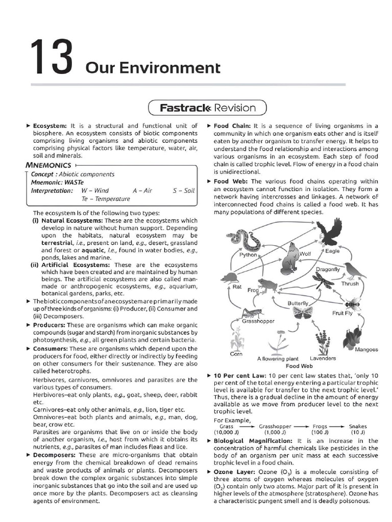 Our Environment | PDF