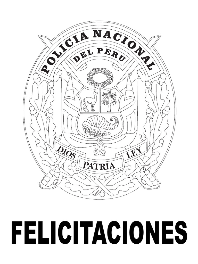 Caja Grande Escudo PNP | PDF