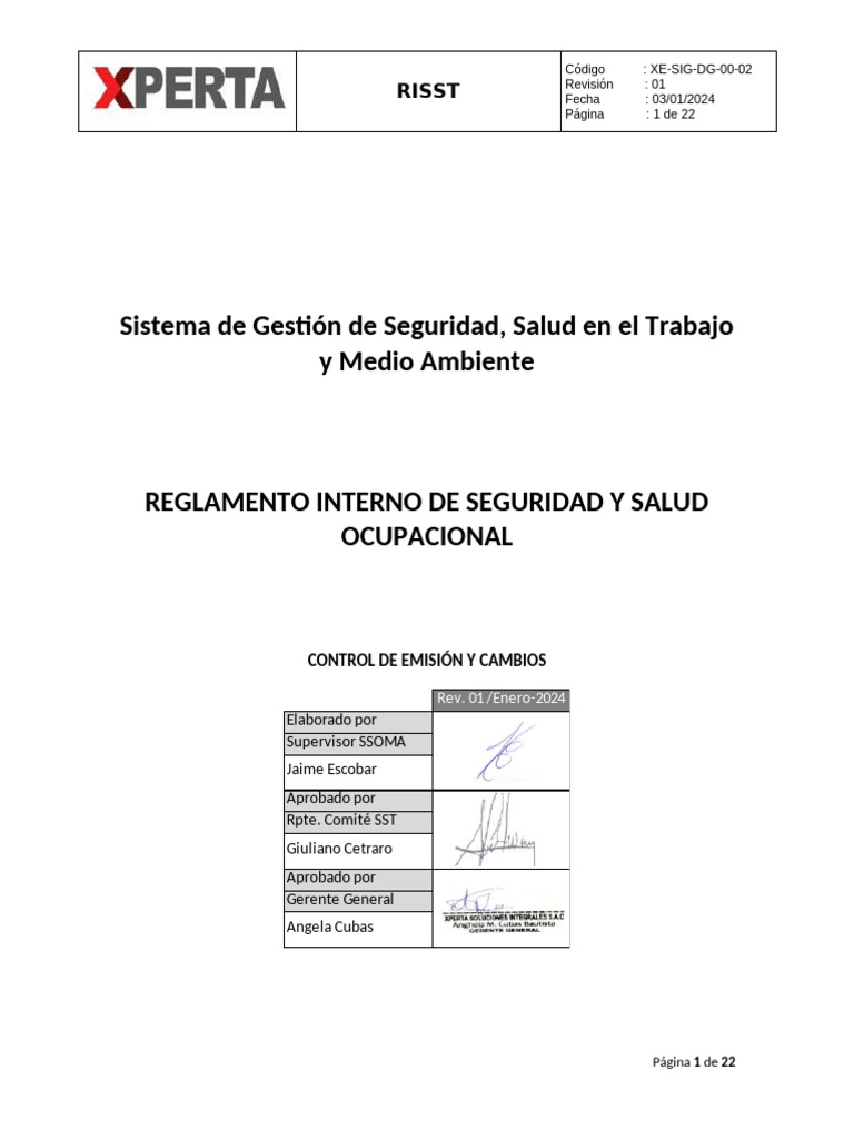 Reglamento Interno de Seguridad y Salud en El Trabajo | PDF | Derecho laboral | Seguridad y ...