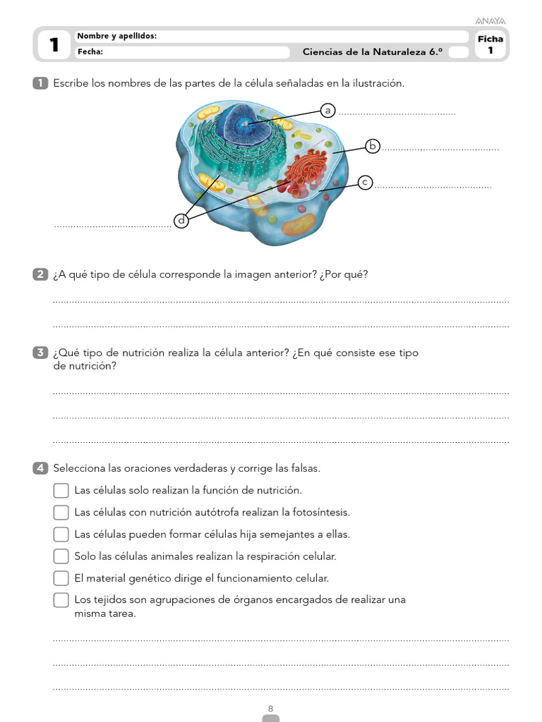 Partes de la Célula y Nutrición Celular | PDF | Plantas | Biología Celular)
