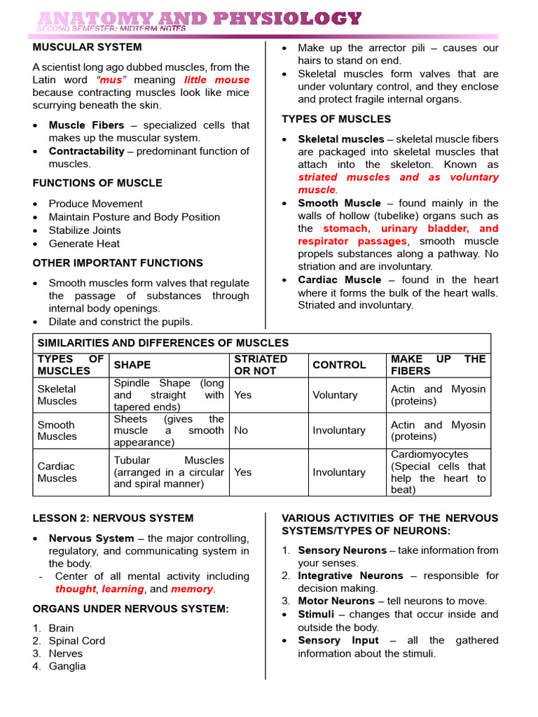 SOFTCOPY.A4.ANAPHY | PDF | Muscle | Human Body