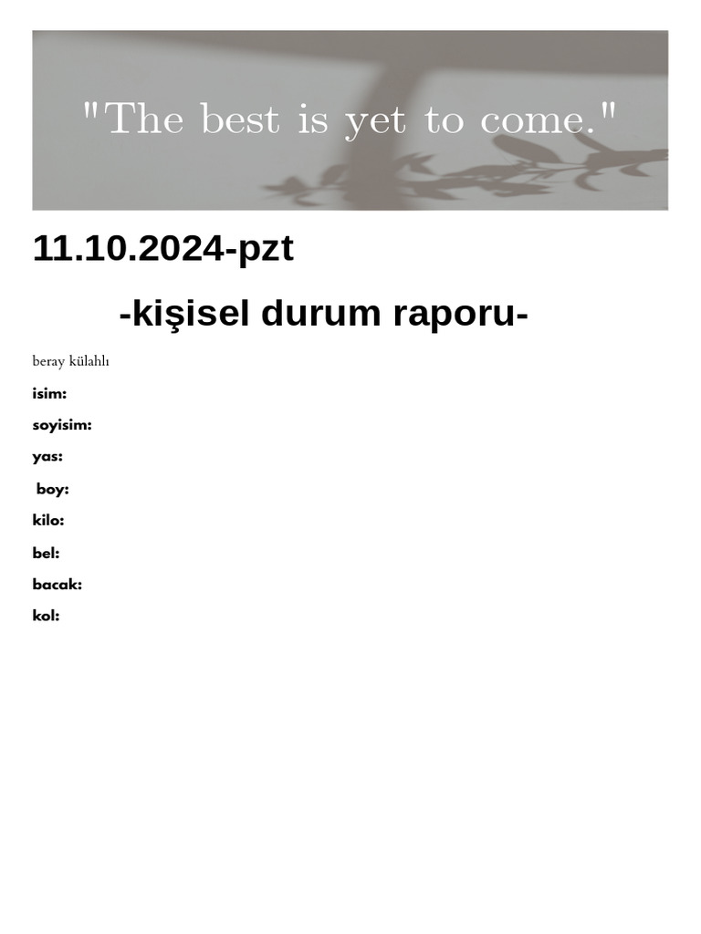 Kişisel Durum Raporu | PDF