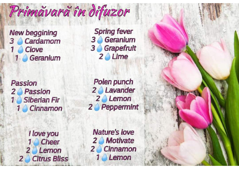 Amestecuri Difuzor Primavara | PDF