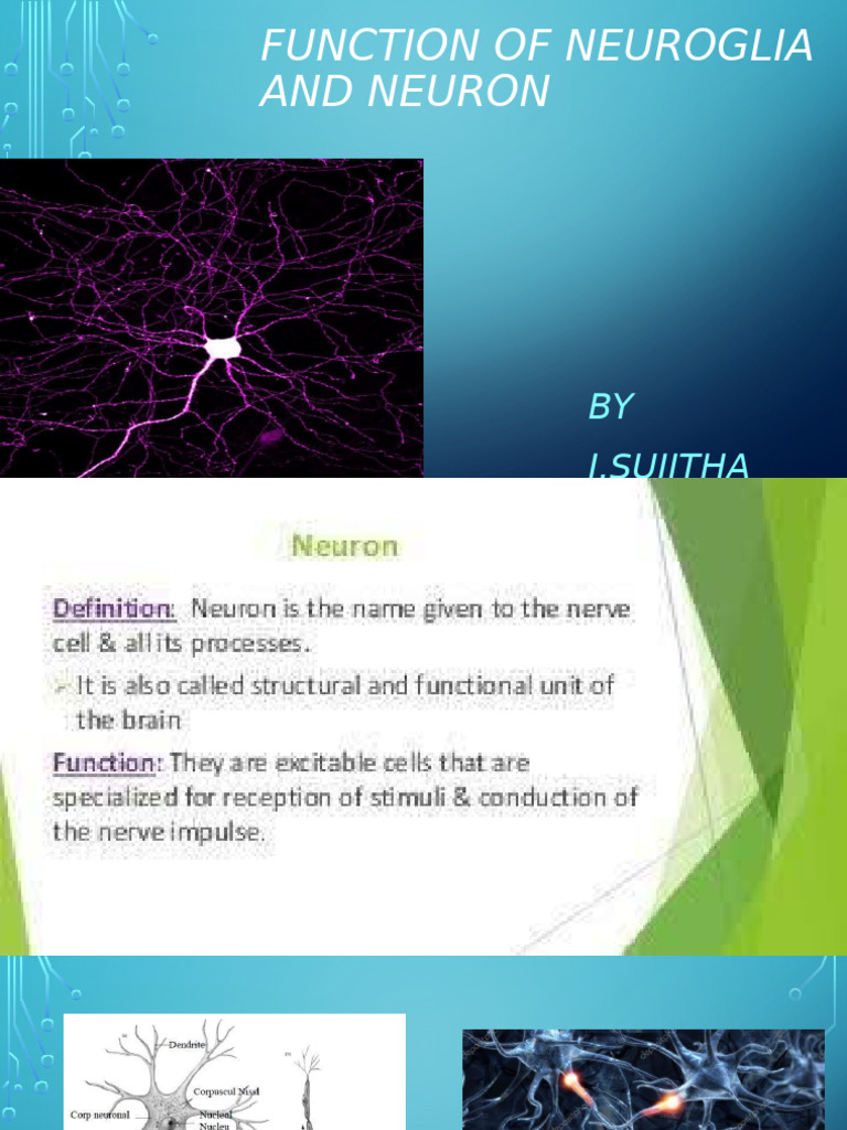 Neuroglia | PDF