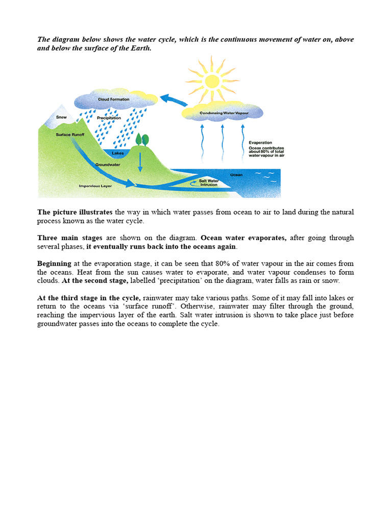 WT1 Sample (Water Cycle + Weather Forecast + Honey Bee + Solar Power) | PDF | Water Cycle | Water