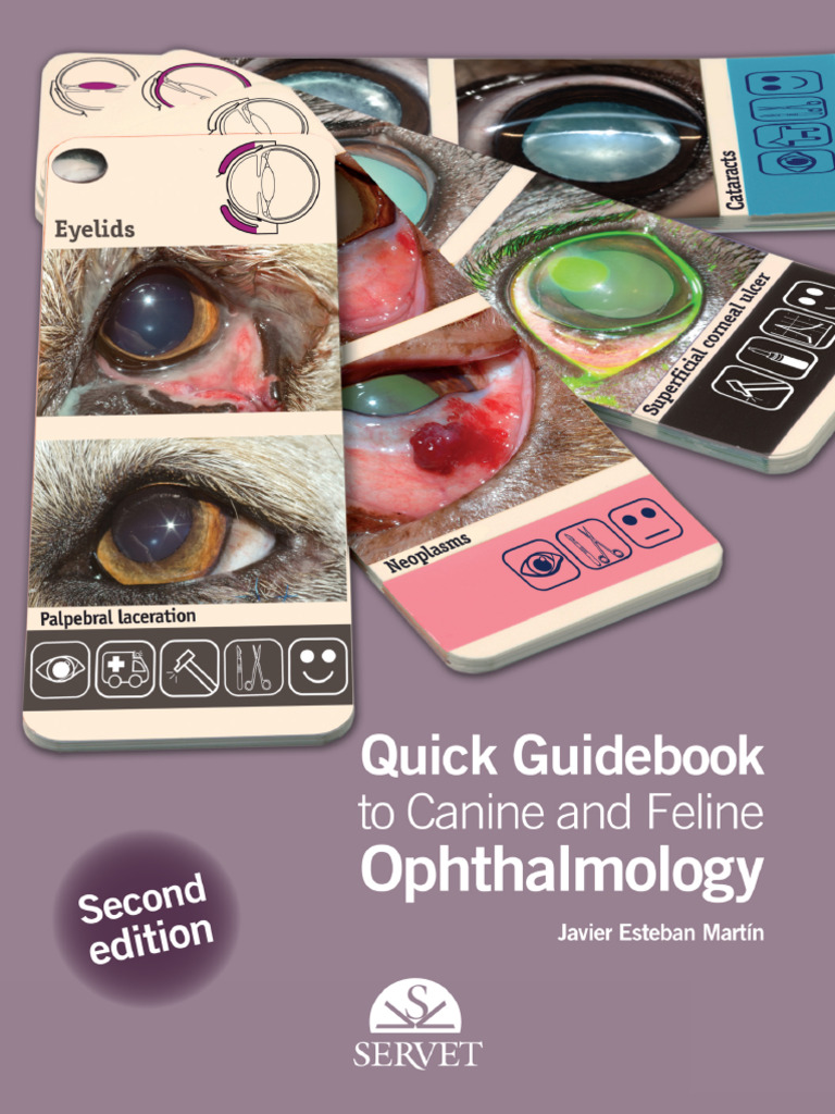 Canine and Feline Ophthalmology Guide | PDF | Cornea | Human Eye