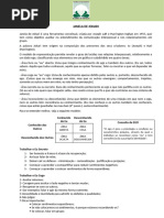 AQ10 - AutismoCriança | PDF