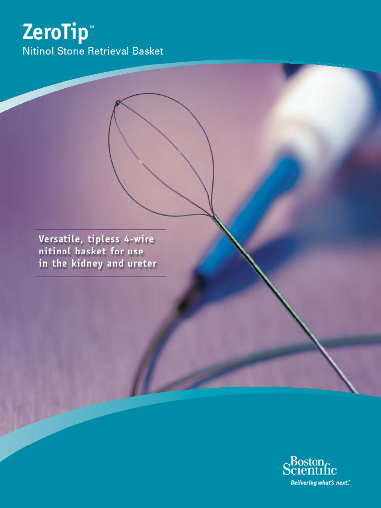 Zero-Tip-Brochure | PDF | Kidney | Genitourinary System