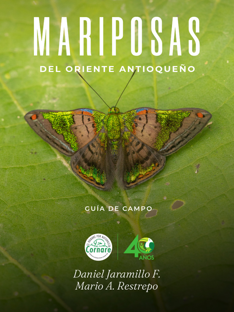 Libro Mariposas Cornare | PDF | Mariposa | Crisálida