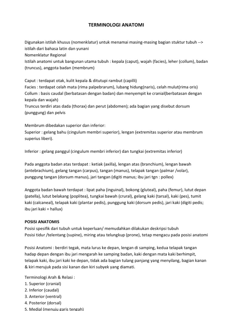 TERMINOLOGI ANATOMIS DAN POSISI TUBUH | PDF