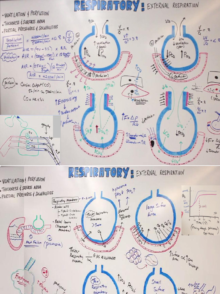 External Resp. | PDF