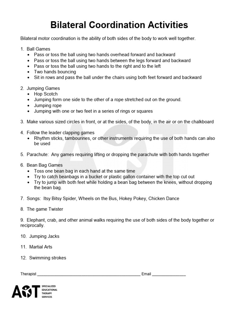 Bilateral Coordination Activties | PDF