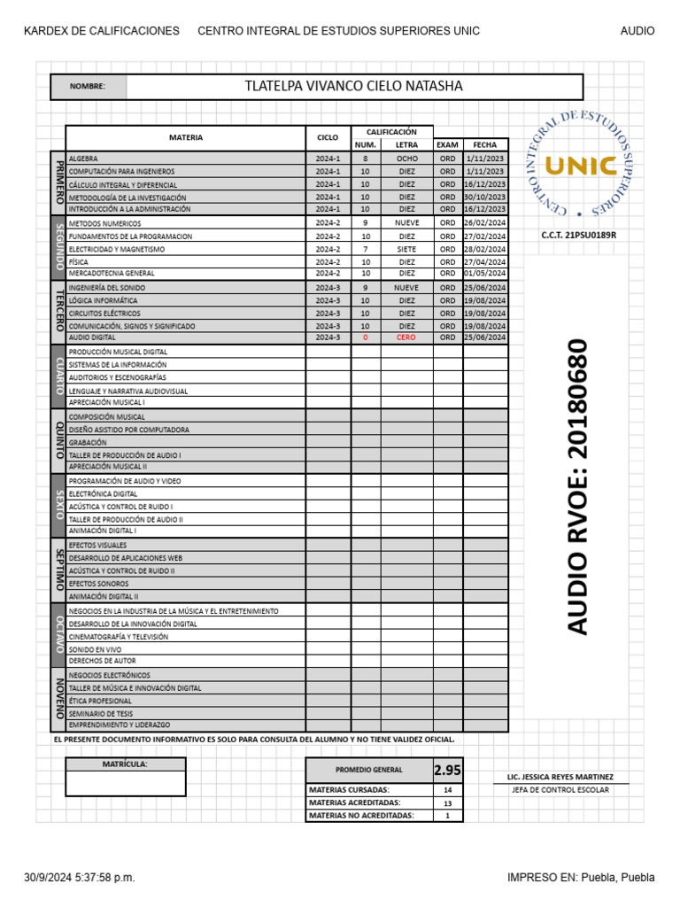 TLATELPA VIVANCO CIELO NATASHA - XLSX - AUDIO | PDF | Informática | Ingeniería