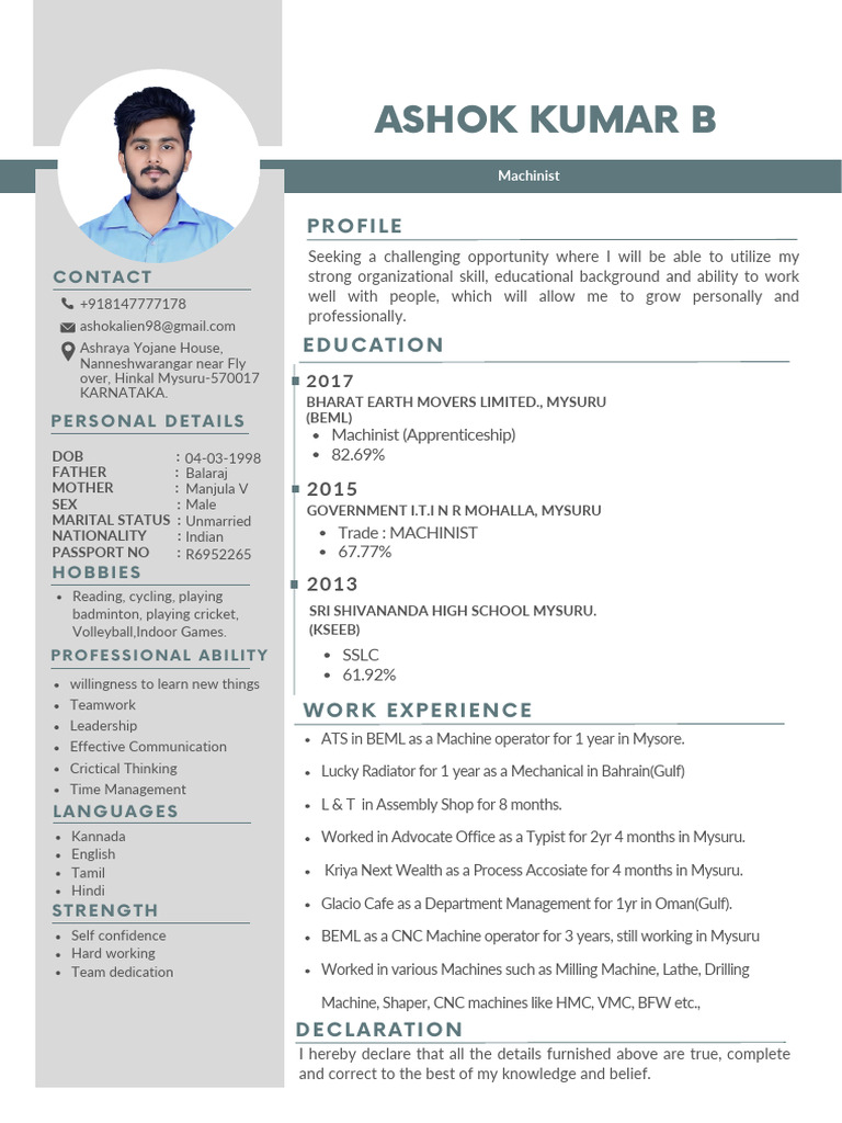 Professional CV | PDF