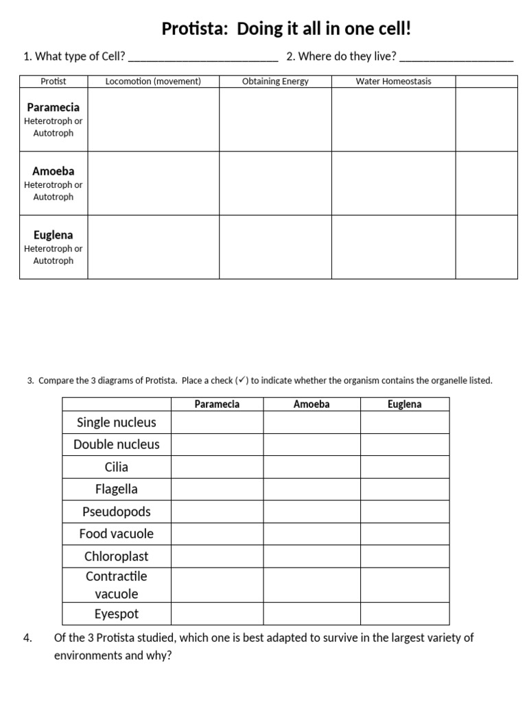 Protists - Doing It All in One Cell | PDF