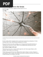 Visual Pathway | PDF | Visual System | Cerebral Cortex