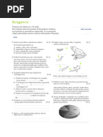 Duzy I Maly Obieg Krwi | PDF