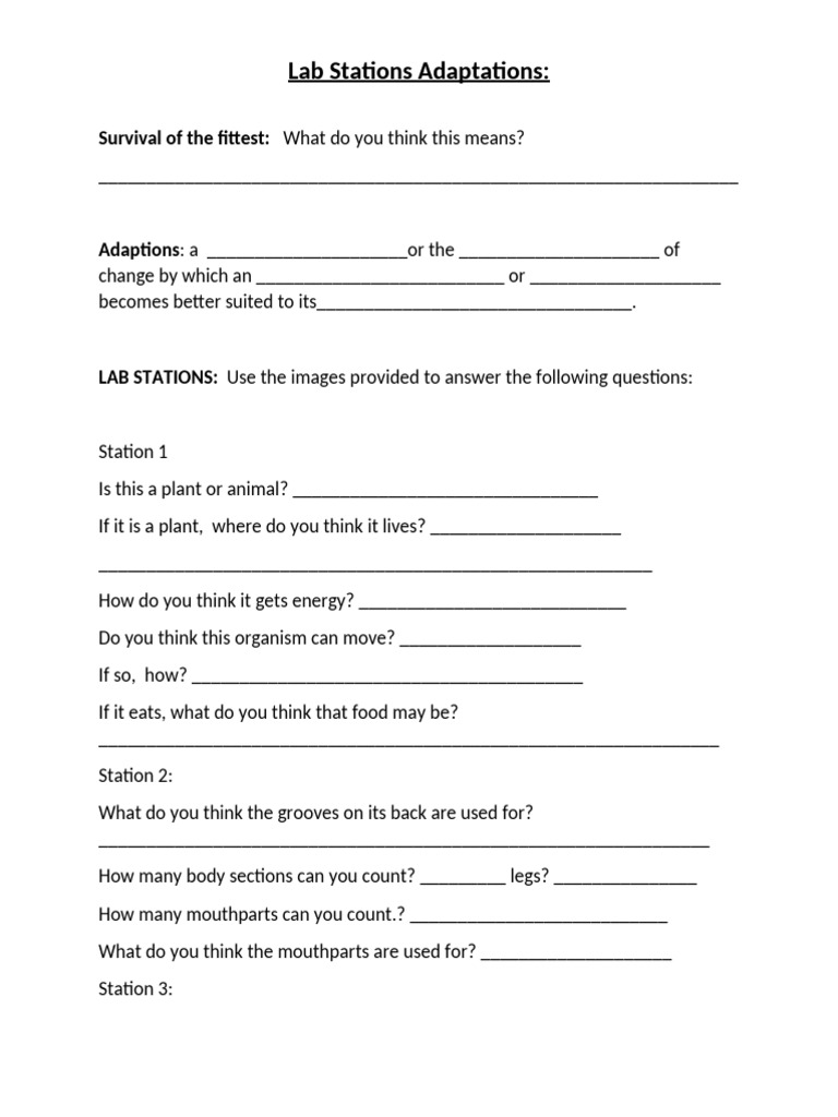 Adaptations Lab Questions | PDF | Adaptation