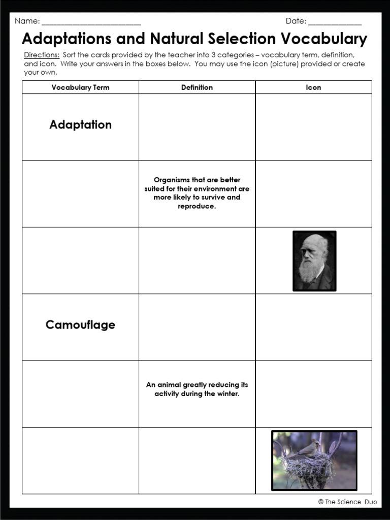 Adaptations Plants and Animals Card Sort Record Sheet | PDF