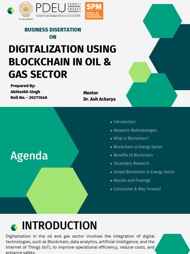 20211048_BD Report | PDF | Internet Of Things | Computer Security