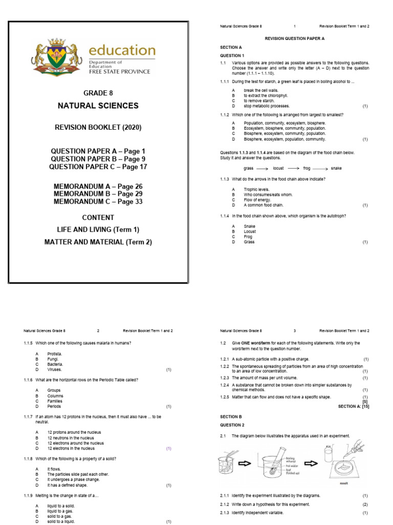 Natural Sciences | PDF | Chemical Elements | Proton