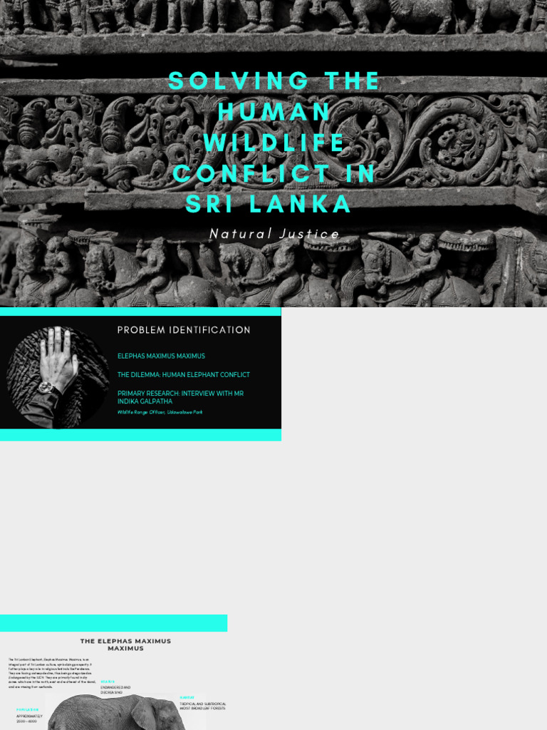 Draft 2 Script | PDF | Natural Environment