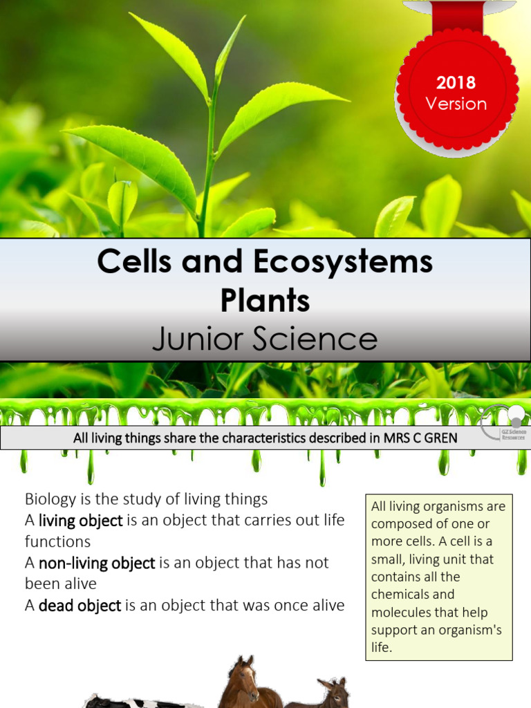 Cells and Ecosystems - Plants | PDF | Leaf | Foods