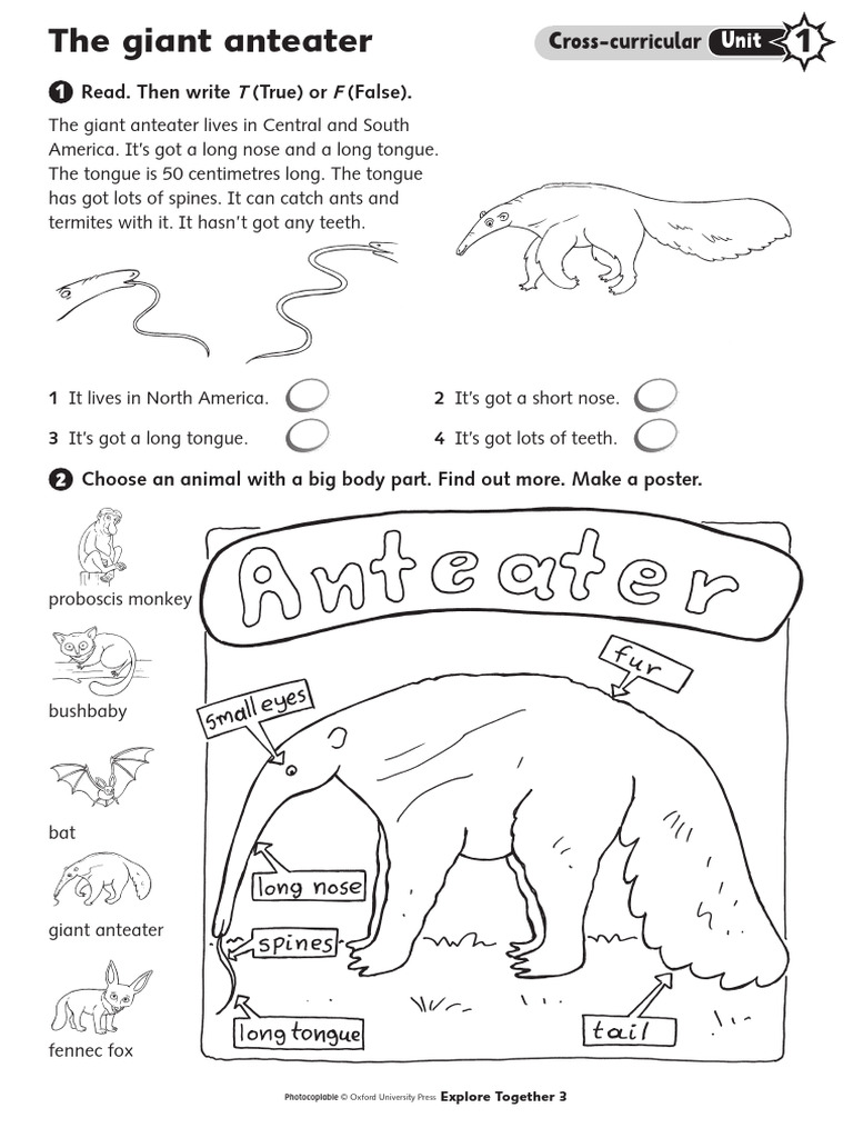 Explore-Together 3 Crosscurricular Worksheets | PDF