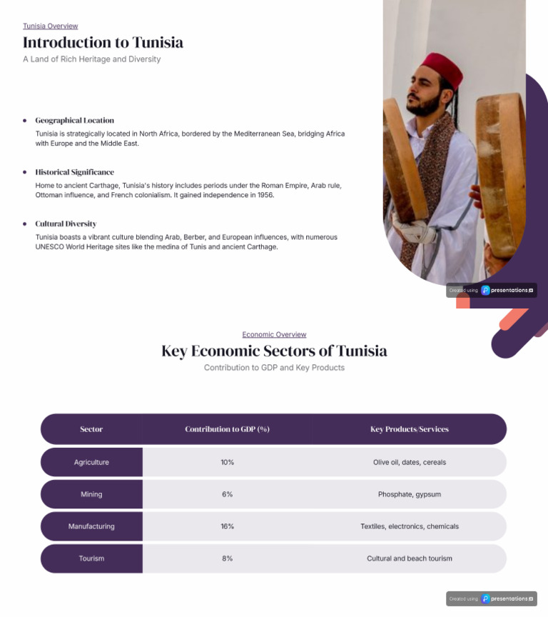 Comprehensive Analysis of Tunisia | PDF