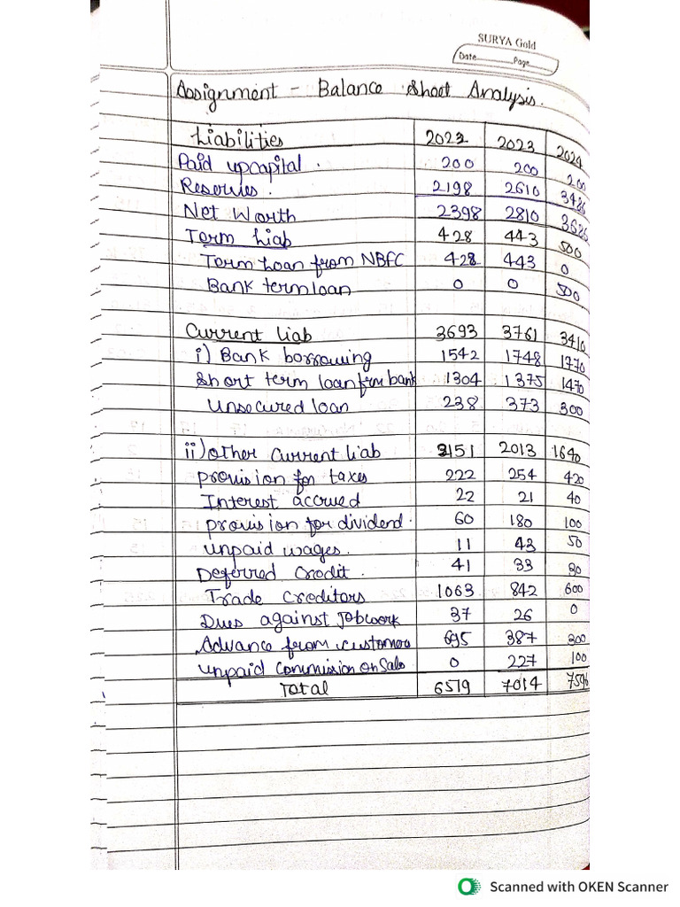 Bal Sheet Assignment | PDF