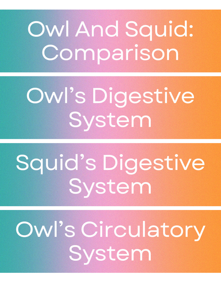 Owl Vs Colossal Squid | PDF