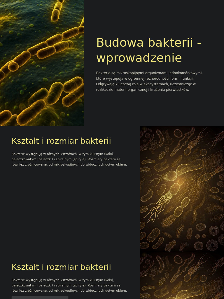 Budowa-bakteri — Kopia — Kopia | PDF