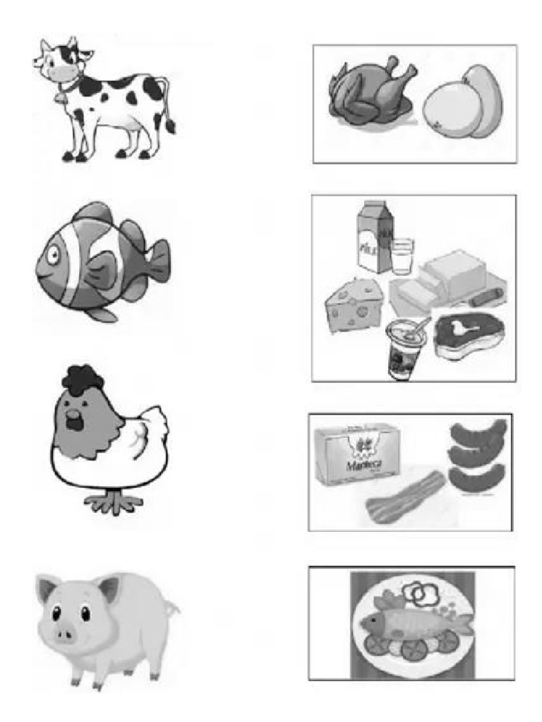 Alimentos de Origen Animal | PDF