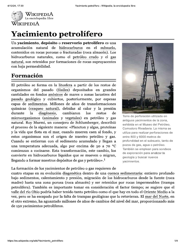 yacimiento | PDF