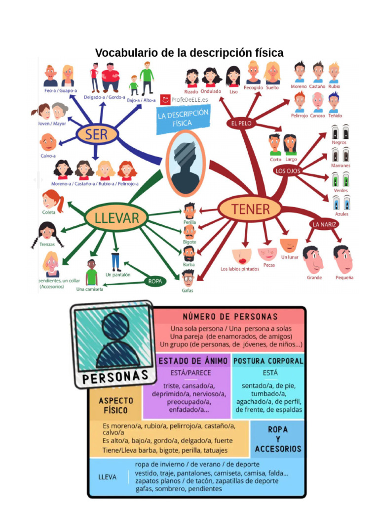Vocabulario de La Descripción Física | PDF