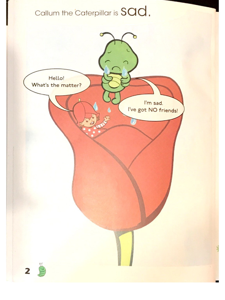 Callum The Caterpillar | PDF
