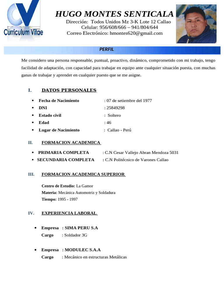 CV Hugo | PDF