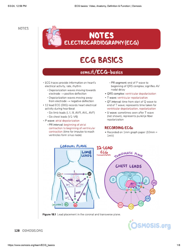 ECG Basics - Video, Anatomy, Definition & Function - Osmosis | PDF