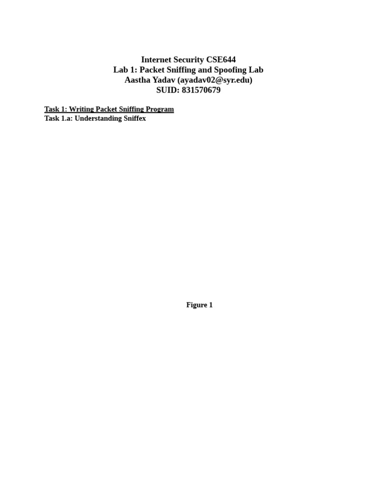 Sniffing and Spoofing | PDF | Port (Computer Networking) | Internet ...