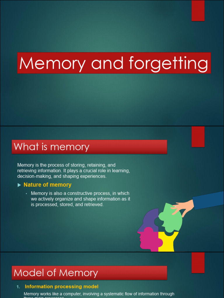Memory and forgetting | PDF | Memory | Long Term Memory