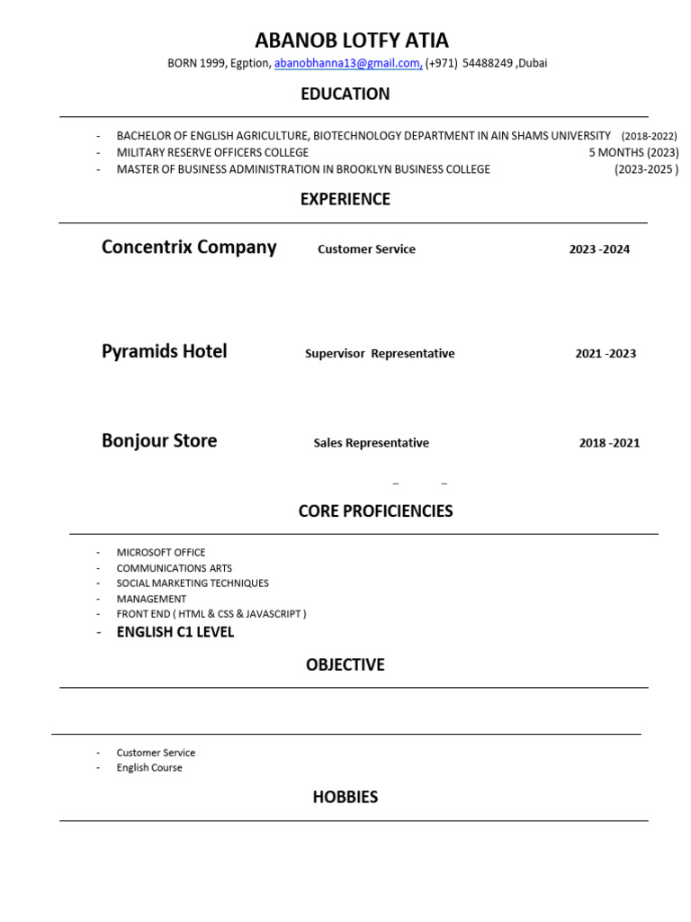 Abanob CS Hanna CV - 241114 - 202516 | PDF
