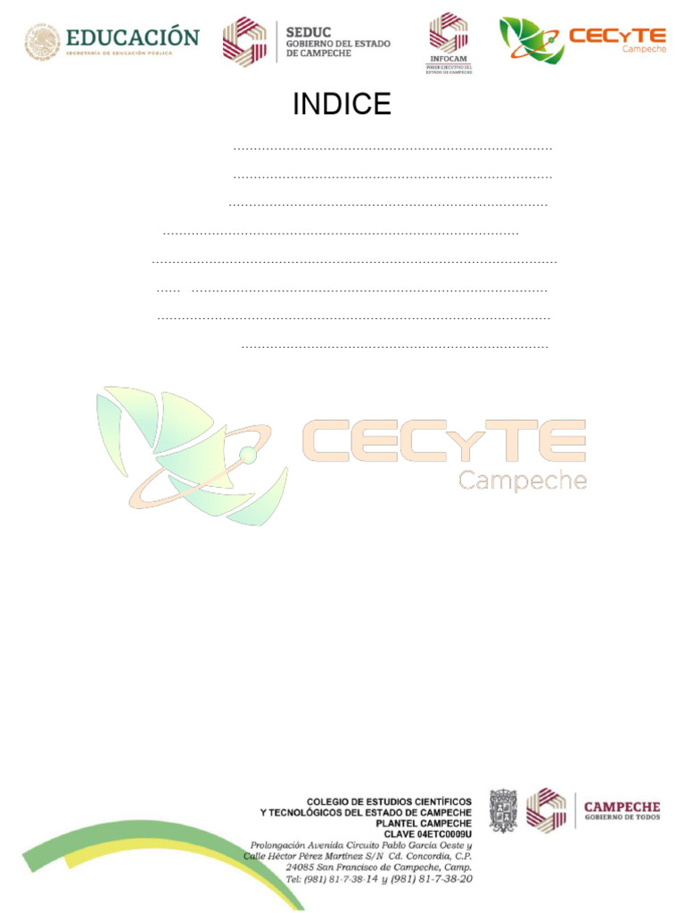 Estructura de Documento de Investigación | PDF