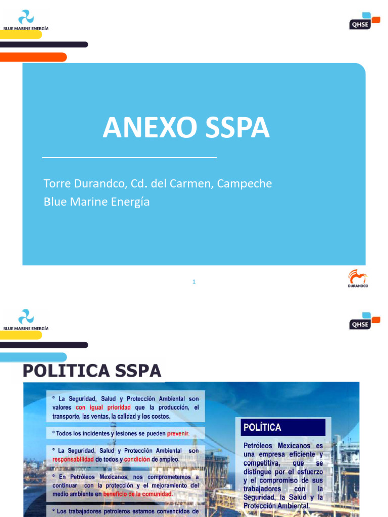 4. Anexo SSPA | PDF | Contaminación | México