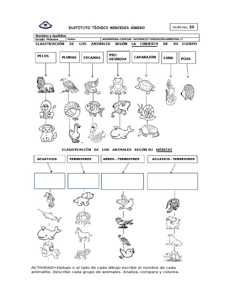 Clasificación de Animales: Actividades Educativas | PDF