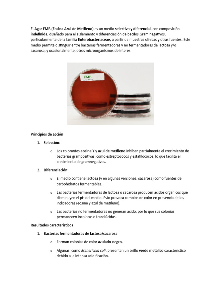 El Agar EMB | PDF | Las bacterias | Biología
