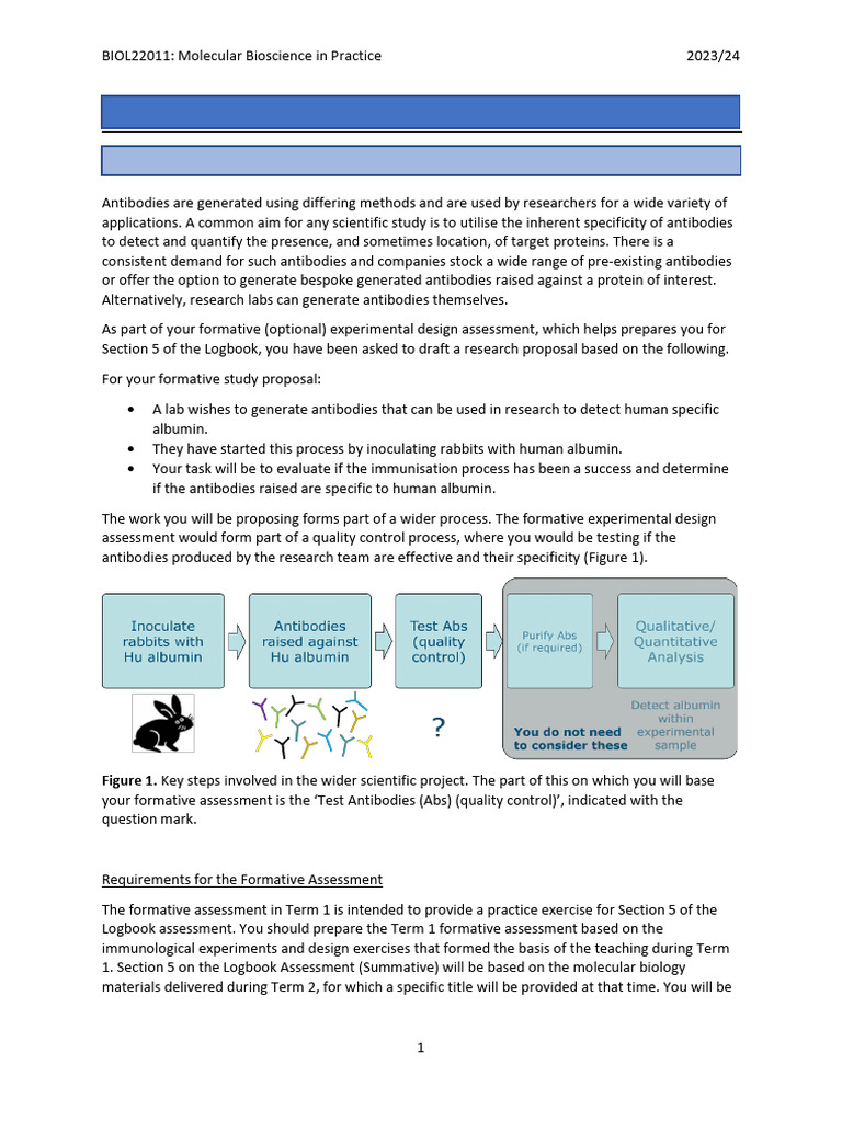 Formative Experimental Design Assessment Brief | PDF | Antibody