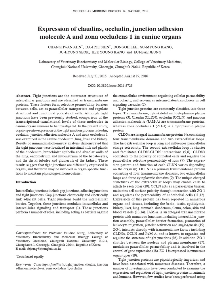 Ahn, 2016, Molecular Medecine Reports, Expression of Claudins, Occludin ...