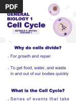 Mitosis Mover: Interactive Biology Game | PDF | Mitosis | Cell (Biology)