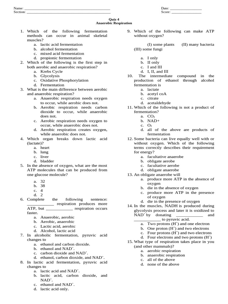 Anaerobic Respiration Quiz | PDF | Cellular Respiration | Biology