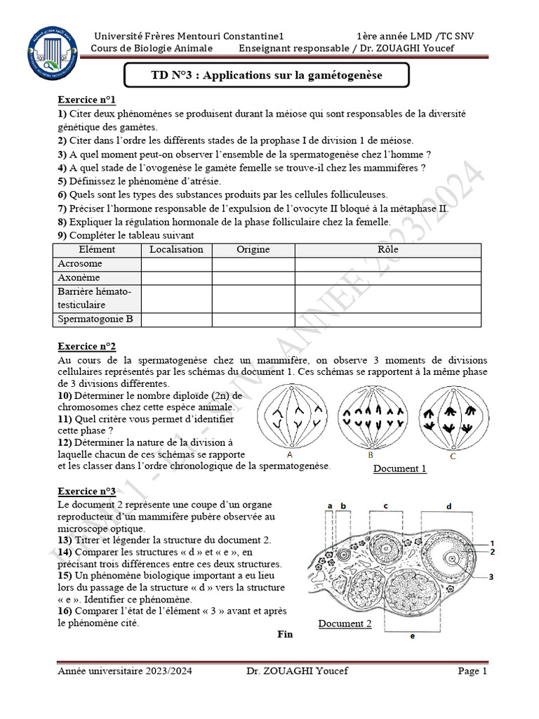 TD N°3-Applications Sur La Gamétogenèse Dr. ZOUAGHI Youcef UFMC1-2023 ...